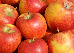Apfel Ingrid Marie eigen - Lammertzhof